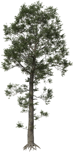 Welcome - PF2B Documentation